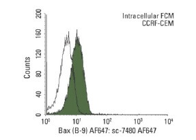 Anti-Bax Antibody (B-9) | SCBT - Santa Cruz Biotechnology