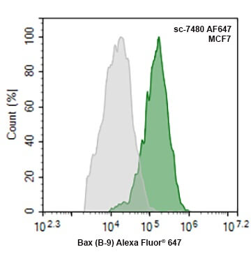Anti-Bax Antibody (B-9) | SCBT - Santa Cruz Biotechnology