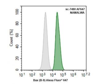 Anti-Bax Antibody (B-9) | SCBT - Santa Cruz Biotechnology
