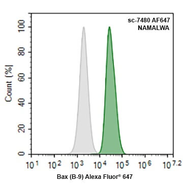 Anti-Bax Antibody (B-9) | SCBT - Santa Cruz Biotechnology