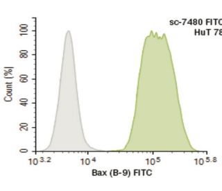 Anti-Bax Antibody (B-9) | SCBT - Santa Cruz Biotechnology