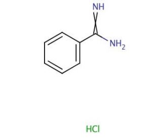 Benzamidine Hydrochloride, Anhydrous | CAS 1670-14-0 | SCBT - Santa ...