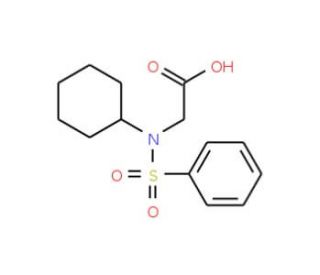 (Benzenesulfonyl-cyclohexyl-amino)-acetic acid | SCBT - Santa Cruz ...