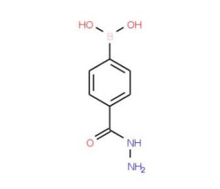Benzohydrazide 4-boronic acid | CAS 850567-95-2 | SCBT - Santa Cruz ...