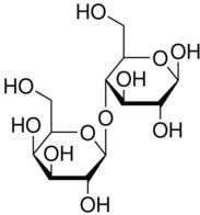 β-Lactose | CAS 5965-66-2 | SCBT - Santa Cruz Biotechnology