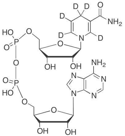 Nadh Structure
