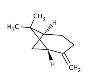 (−)-β-Pinene | CAS 18172-67-3 | SCBT - Santa Cruz Biotechnology