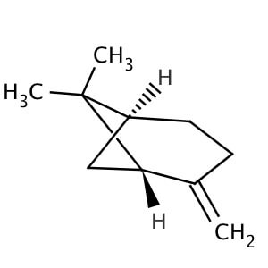 β-Pinene, CAS 18172-67-3 | SCBT - Santa Cruz Biotechnology