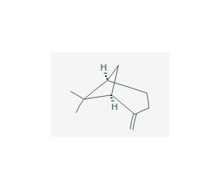 β-Pinene | CAS 19902-08-0 | SCBT - Santa Cruz Biotechnology