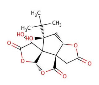 Bilobalide | CAS 33570-04-6 | SCBT - Santa Cruz Biotechnology