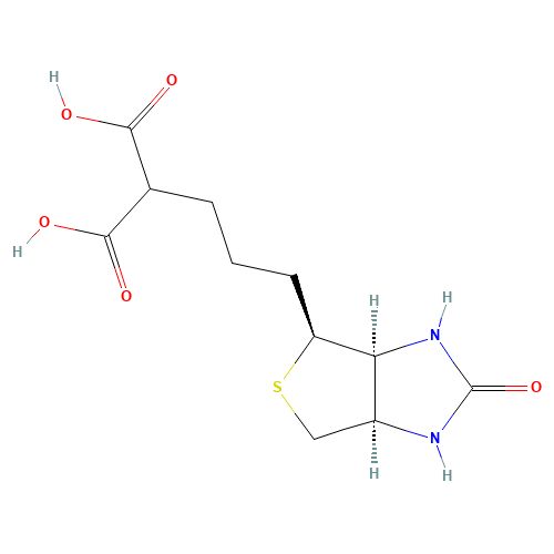 Biotin Diacid | CAS 57671-79-1 | SCBT - Santa Cruz Biotechnology