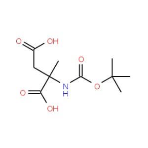 Boc-alpha-methyl-L-aspartic acid | SCBT - Santa Cruz Biotechnology