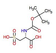 Boc-L-cysteic acid | CAS 277316-57-1 | SCBT - Santa Cruz Biotechnology