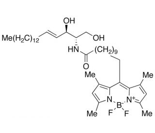 Bodipy C12-Ceramide | CAS 1246355-58-7 | SCBT - Santa Cruz Biotechnology