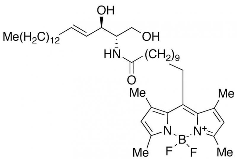 Bodipy C12-Ceramide | CAS 1246355-58-7 | SCBT - Santa Cruz Biotechnology