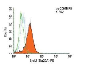 BrdU Antibody (Bu20A) | SCBT - Santa Cruz Biotechnology