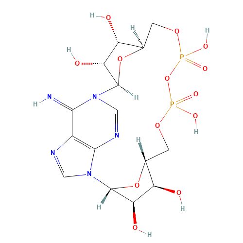 cADP-Ribose (cADPR) | CAS 119340-53-3 | SCBT - Santa Cruz Biotechnology