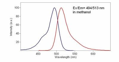 CalciFluor™ Fluo-8H, AM | SCBT - Santa Cruz Biotechnology