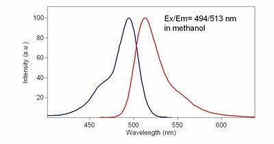 CalciFluor Fluo-8L, AM | SCBT - Santa Cruz Biotechnology