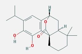 Carnosol | CAS 5957-80-2 | SCBT - Santa Cruz Biotechnology