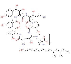 Caspofungin acetate | CAS 179463-17-3 | SCBT - Santa Cruz Biotechnology
