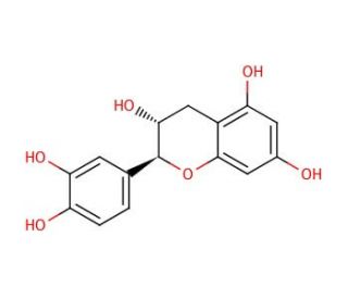 (−)-Catechin | CAS 18829-70-4 | SCBT - Santa Cruz Biotechnology
