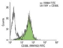 CD30L Antibody (RM153) | SCBT - Santa Cruz Biotechnology