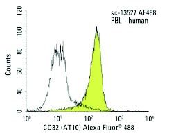 CD32抗体 (AT10) | SCBT - Santa Cruz Biotechnology