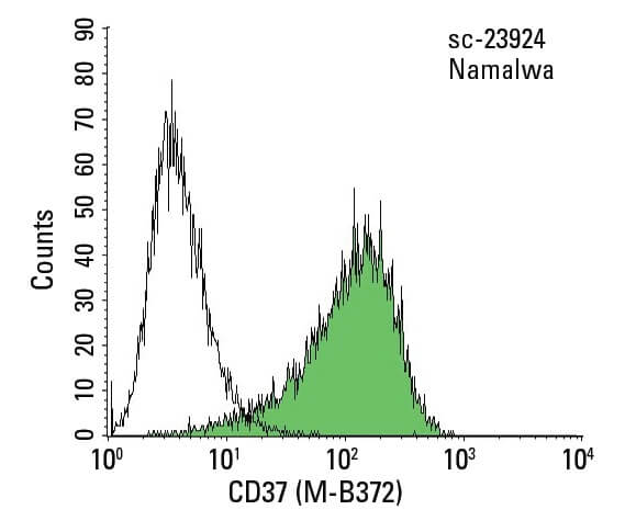 CD37 Antibody (M-B372) | SCBT - Santa Cruz Biotechnology