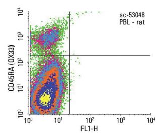 CD45RA Antibody (OX33) - Flow Cytometry - Image 13767