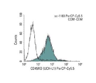 Anti-CD45RO Antibody (UCH-L1) | SCBT - Santa Cruz Biotechnology