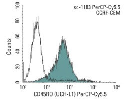 Anti-CD45RO Antibody (UCH-L1) | SCBT - Santa Cruz Biotechnology