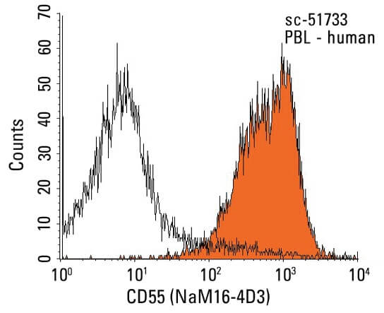 Anti-CD55 Antibody (NaM16-4D3) | SCBT - Santa Cruz Biotechnology