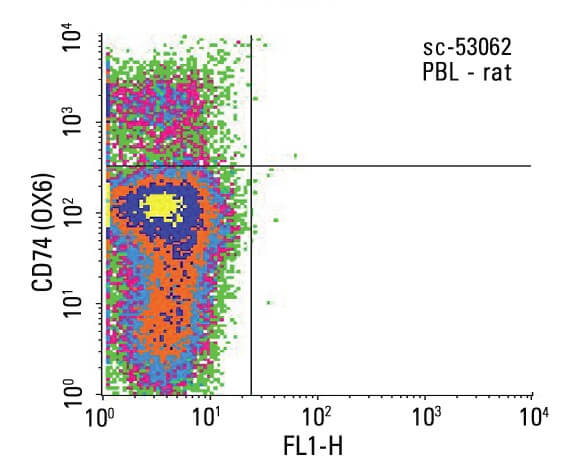 CD74 Antibody (OX6) | SCBT - Santa Cruz Biotechnology