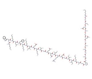 Cecropin A | CAS 80451-04-3 | SCBT - Santa Cruz Biotechnology