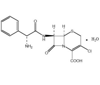 Cefaclor, Monohydrate | CAS 70356-03-5 | SCBT - Santa Cruz Biotechnology
