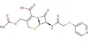 Cephapirin | CAS 21593-23-7 | SCBT - Santa Cruz Biotechnology