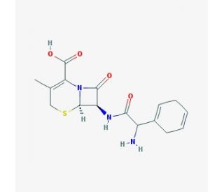Cephradine | CAS 38821-53-3 | SCBT - Santa Cruz Biotechnology