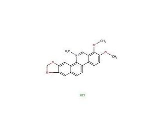 Chelerythrine chloride | CAS 3895-92-9 | SCBT - Santa Cruz Biotechnology