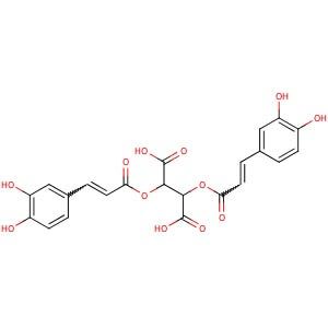 Chicoric Acid | CAS 6537-80-0 | SCBT - Santa Cruz Biotechnology
