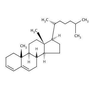 Cholesta-3,5-diene | CAS 747-90-0 | SCBT - Santa Cruz Biotechnology