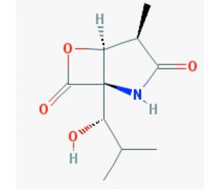 clasto-Lactacystin β-lactone | CAS 155975-72-7 | SCBT - Santa Cruz ...