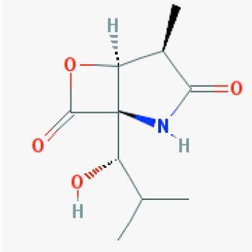 clasto-Lactacystin β-lactone | CAS 155975-72-7 | SCBT - Santa Cruz ...
