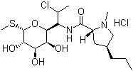 Clindamycin Hydrochloride | CAS 21462-39-5 | SCBT - Santa Cruz Biotechnology