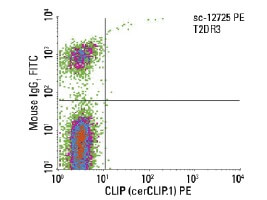 Anti-CLIP Antibody (cerCLIP.1) | SCBT - Santa Cruz Biotechnology