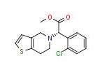 Clopidogrel | CAS 113665-84-2 | SCBT - Santa Cruz Biotechnology