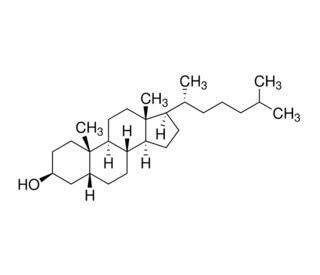 Coprostan-3-ol | CAS 360-68-9 | SCBT - Santa Cruz Biotechnology