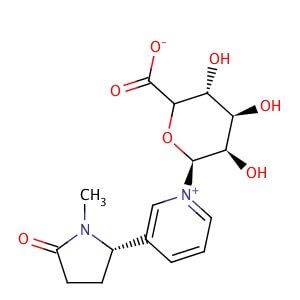 Cotinine N-β-D-Glucuronide | CAS 139427-57-9 | SCBT - Santa Cruz ...