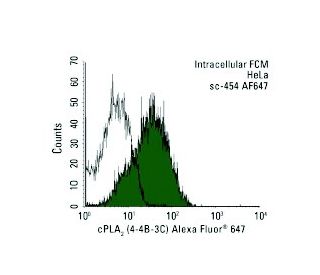 Anti-cPLA2 Antibody (4-4B-3C) | SCBT - Santa Cruz Biotechnology
