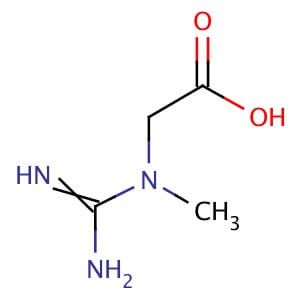 Creatine, anhydrous | CAS 57-00-1 | SCBT - Santa Cruz Biotechnology